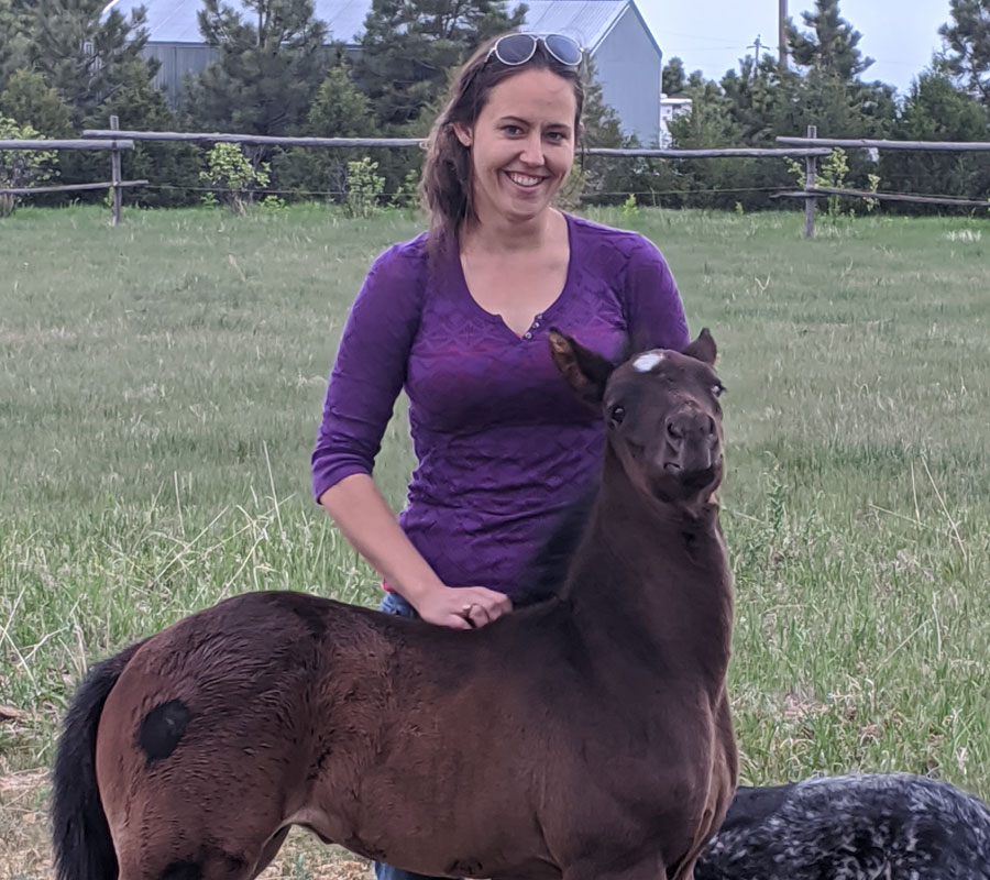 Our Veterinary Services